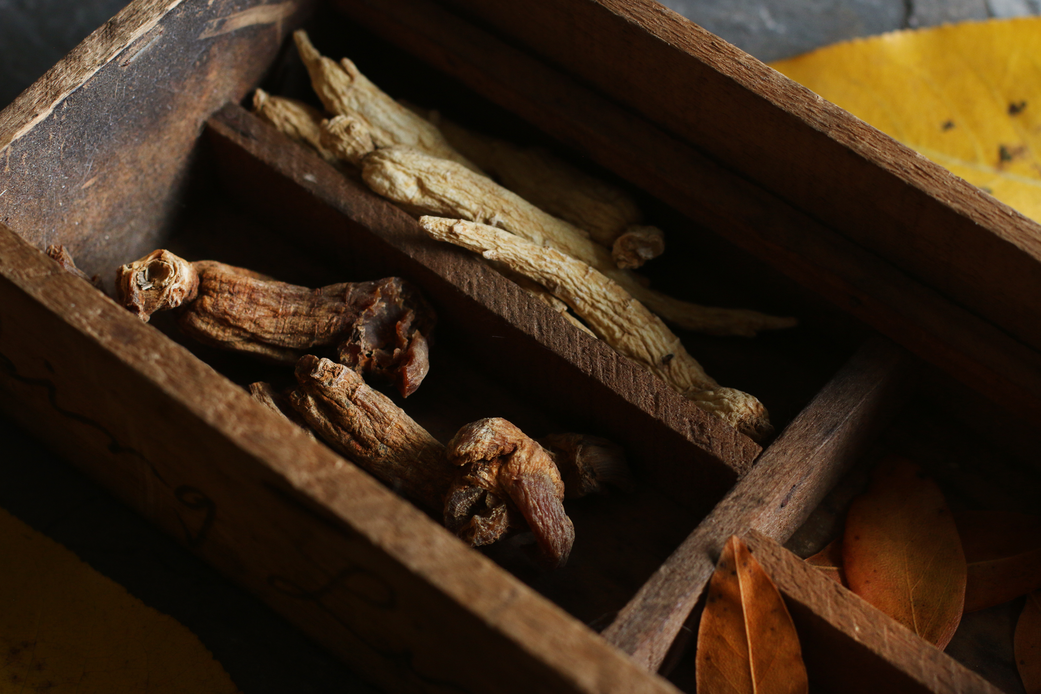 Panax Ginseng for Balance, Vitality & Focus - Five Flavors Herbs